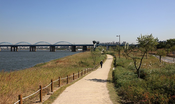 Top 5 Hangang River trails to explore this fall | Gangnam.com